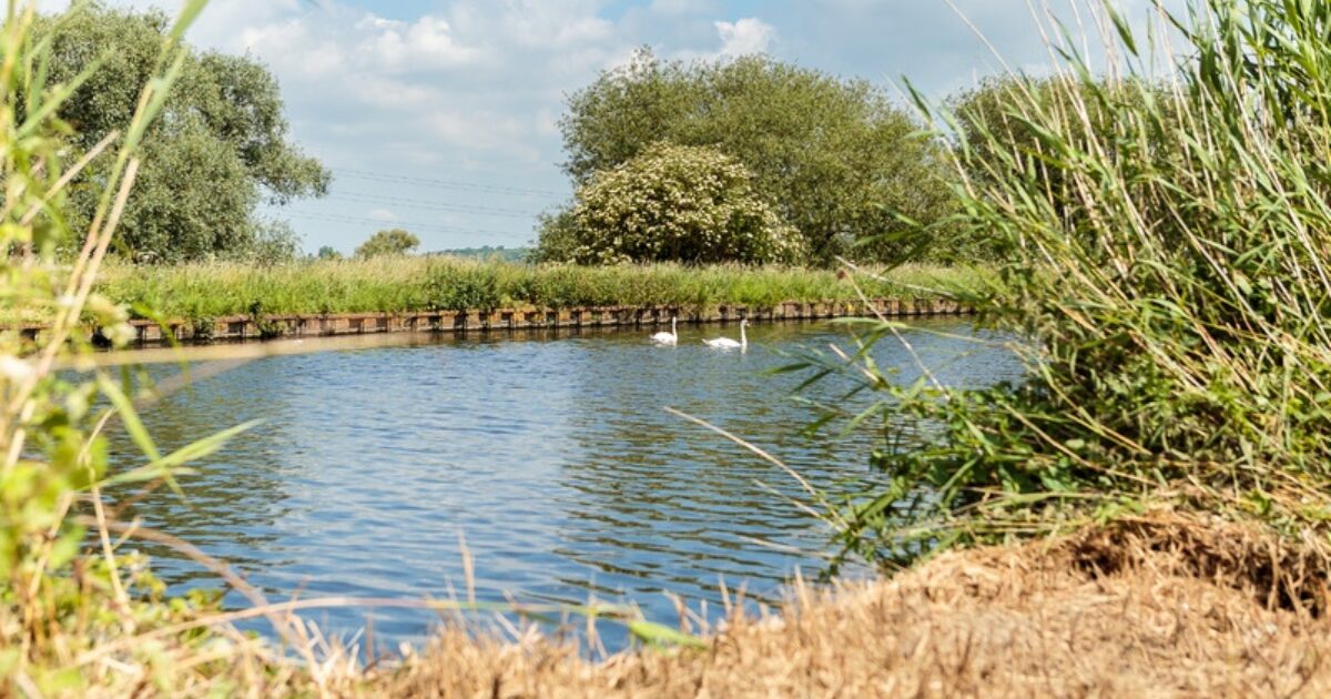 Évadez-vous vers une vie plus simple à Moor Farm - Un Lit au Pré